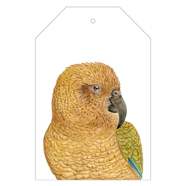 Kai the Kea Gift Tags (Pack of 10) - For Me By Dee Wholesale